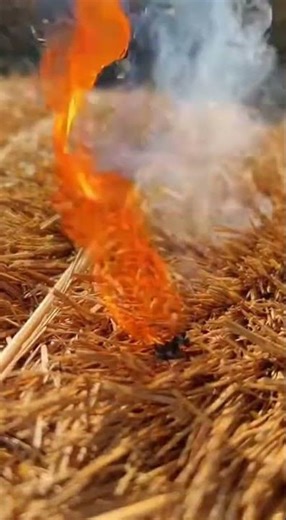 One Spark Total Disaster! Tractor Engulfed in Flames 🚜🔥 #SparkDisaster #FarmFire