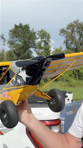 The Cleetus McFarland Carbon Cub that ANYONE can fly!
