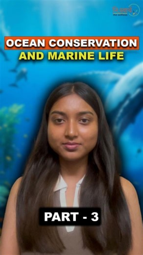 Niswarth-The Selfless | NGO on Instagram: "Ocean Conservation & Marine Life | Part 3 🌊 It’s not just plastic—oil spills, chemical waste, noise pollution, and climate change are silently destroying marine ecosystems. Our oceans need protection, not neglect. #niswarththeselfless #niswarth #sustainablefuture #theselfless #powerofselflessness [Ocean Conservation, Marine Life, Save Our Seas, Beyond Plastic, Ocean Pollution, Protect Our Oceans, Blue Planet, Climate Action]"