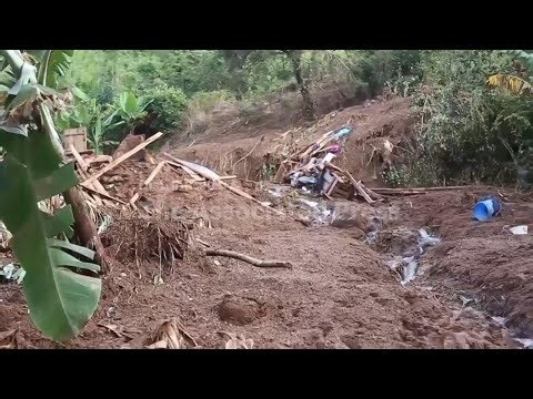 Landslides triggered by heavy rainfall kill at least 20 people in Tanzania