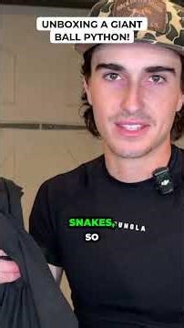 Unboxing a Giant Ball Python!