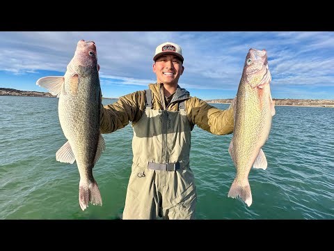 Spring Walleye Fishing a Popular River! (LIMITED OUT)