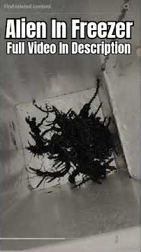 Kin Panama Alien in Freezer – Viral Meteorite Creature?