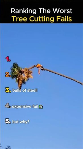 Ranking The Worst Tree Cutting Fails 🌳😱