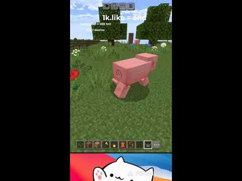 🔴 LIVE: Minecraft Infinity Roller Coaster 🌊 Coastal Ride (Never Ends