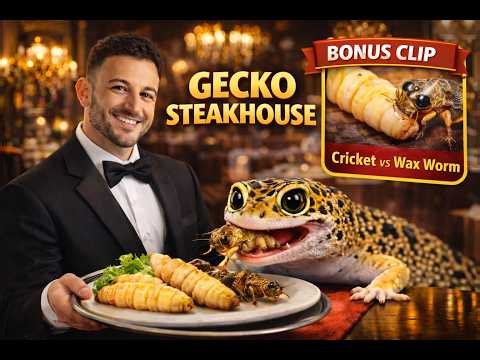 Feeding My Leopard Geckos… Then a Cricket Tried to Eat the Wax Worm 😳