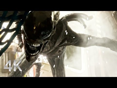 Deadly trap for the Xenomorph - Alien: Covenant (2017) 4K