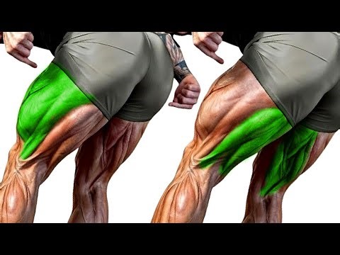Best Leg Exercises at Gym for Muscle Growth (Build Bigger Quads Hamstrings & Glutes)