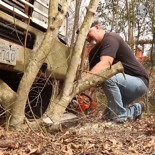 Relaxing ASMR Diesel Truck Rescue 01/07 | Restored