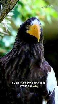 "Remember YOU & Rewire Their Brains for Life! 🤯 (Mind-Blowing Facts)