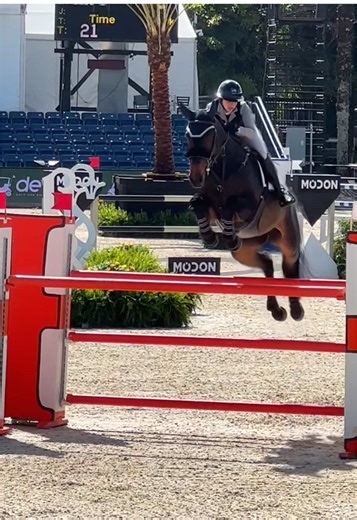 Cavicii Claims Victory in 1.45 Division Championship