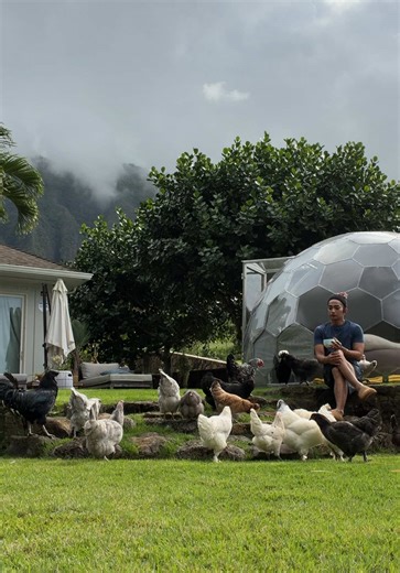 Where can a man baddie even get company these days ? | cartoon cat