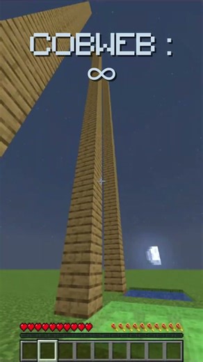 Which Block Reduce Fall Damage!!!