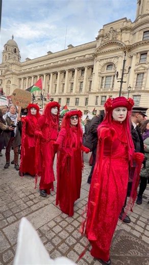 Extinction Rebellion protest at Horse Guards #horseguards #protest #london | London Vlog