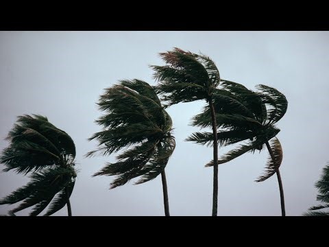 Topical Cyclone Koji intensifies into category two