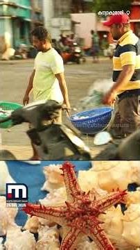 ഇത് ജീവിതത്തില്‍ ഒരിക്കലെങ്കിലും കാണേണ്ട കാഴ്ച.. മനോഹര തീരങ്ങളുടെ കന്യാകുമാരി | Kanyakumari