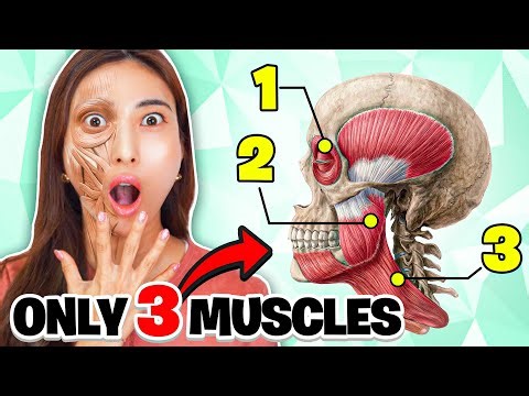 Try This 3 Muscle-Lifting Routine | Tighten Drooping Cheeks & Jowls | Face Lift Exercises