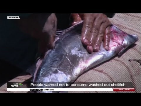 Public warned against consuming washed out shellfish