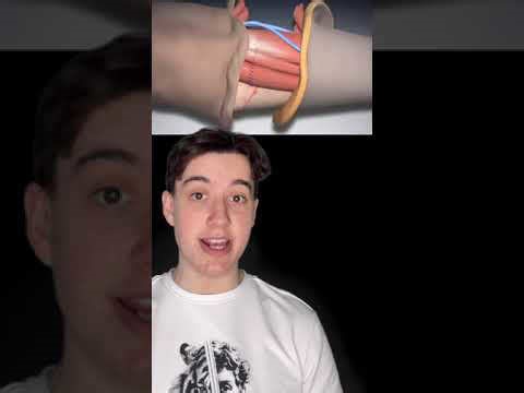 How surgeons perform complex procedures like hand transplants