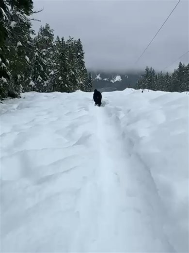 Chelsea Handler on Reels