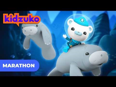 ​@Octonauts - 🥰 We Love Manatees ❤️ | 30 Mins+ Full Episodes Marathon | @Kidzuko​