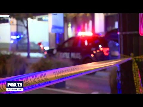 Seattle Police 2025 year in review report shows some crime stats going down