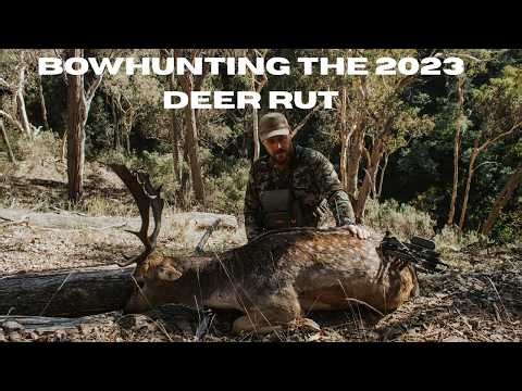 BOWHUNTING THE 2023 DEER RUT!!! (POST RUT)