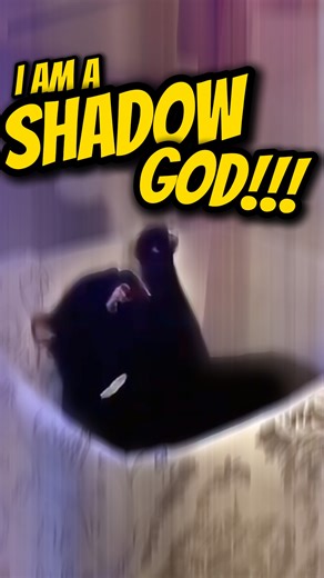 I can't remember which, but I'm almost a hundred percent sure that I have ended a video by calling humans intrusive before... 🙈🙈🙈 Am I right??? Does anyone remember? or is there something similar? It feels familiar 😂😆 heLp. Also, if these are your babies and you sent me this, I am so sorRY I lost a lot of information from people who sent things in before I set up my new system for it on the website, so if this is you pleeease let us knoow so I can tag you n stuff. 🧡 boOp . . I pretend cats