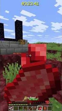 Minecraft Random Item Speedrun | Day 8