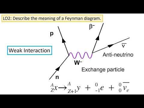 Particle Exchange and Interactions