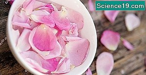 Hogyan nyerik ki, dolgozzák fel és finomítják a földgázt? 💫 Tudományos És Népszerű Multimédiás Portál. 2025