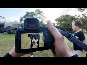 Canon R5 Mark ii Animal Eye Autofocus Test: How well does it track?