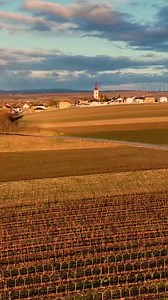 41K views · 238 reactions | When the vineyards go into a winter sleep, Austria's winegrowers start pruning the vines ❄️✂️ This is the first vital step towards ensuring the quality of the grapes in the autumn ❤️ For this, the winegrowers consider each vine one by one: the vigour, age and health of the plant determine where the cut should be made. © Austrian Wine / @pointofviewfoto | Austrian Wine | Facebook