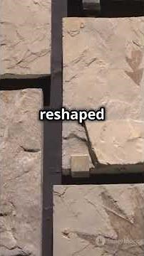 The Burgess Shale: A Window into Earth's Ancient Life #facts #history