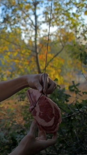 Had an insane catch recently during our primitive trapping shoot 😎🥩What’s the best thing you’ve ever caught in a trap??#survival #bushcraft #funnyvideos #steak #cooking #nature #outdoors #camping #wilderness #survivalskills | Joshua Enyart