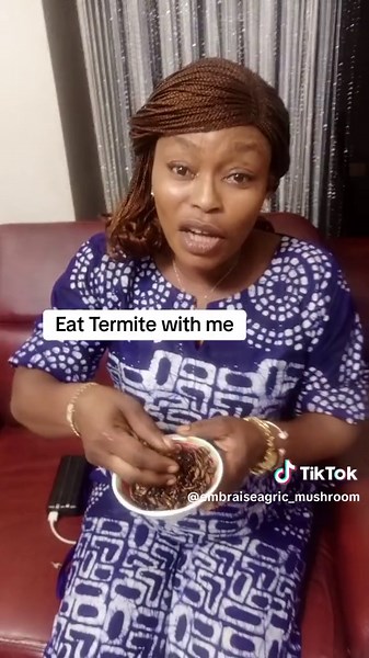 Eating Winged Termites: Iron, Protein, Zinc - Raw & Fried