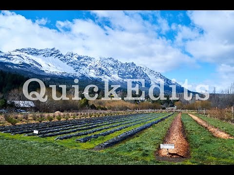 How to add WATERMARK in CAPTURE ONE - Spanish