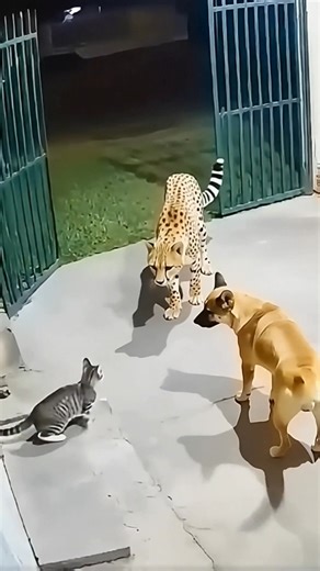 85K views · 102 reactions | Crafty School on Reels | Facebook