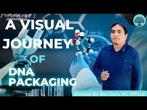 DNA Packaging: A Visual Journey