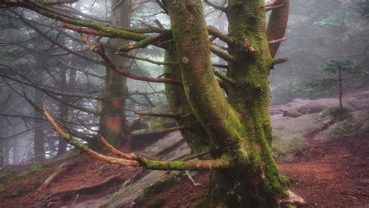 What Filters Does a Professional Landscape Photographer Use?