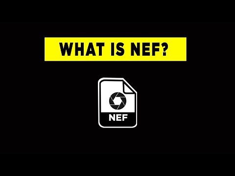 What is a NEF file? - Photography PX