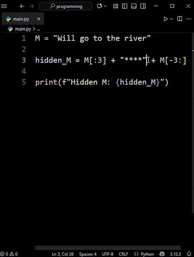 Mask String in Python #python #programming #coding