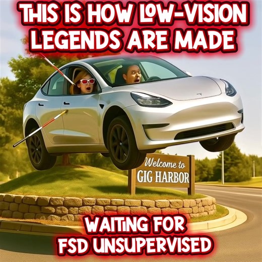 Waiting for Tesla's Unsupervised FSD for the Blind