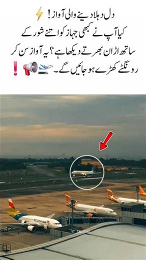 Loudest Plane Takeoff Ever! ✈️🔊 #aviation #jetengine #turbo #loudsound #airportlife #shocking #viral