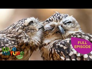 The Masters of Sound 🔊 | Animal Senses 104+105