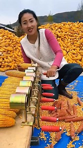 195K views · 1K reactions | This is a very easy machine to shell corn #fypviralシ #virals | Md Samim Ashraf 02 | Facebook