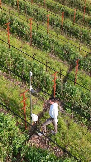 Your farm doesn’t stop. Your monitoring shouldn’t either. Whether you’re managing irrigation, protecting against frost, or monitoring flow, neatMon adapts to your farm, not the other way around. 👉 Learn more at neatmon.com #agriculture #irrigation #SustainableAg #weather | neatMon