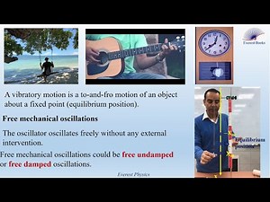 Properties of free undamped oscillatory motion