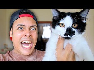 GIVING THIS CUTE KITTEN HIS VERY FIRST BATH 🐱 (KITTEN UPDATE)