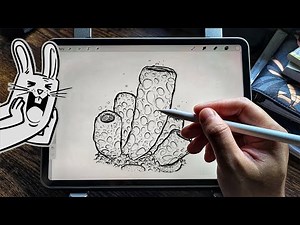 How to draw sea sponge 🧽